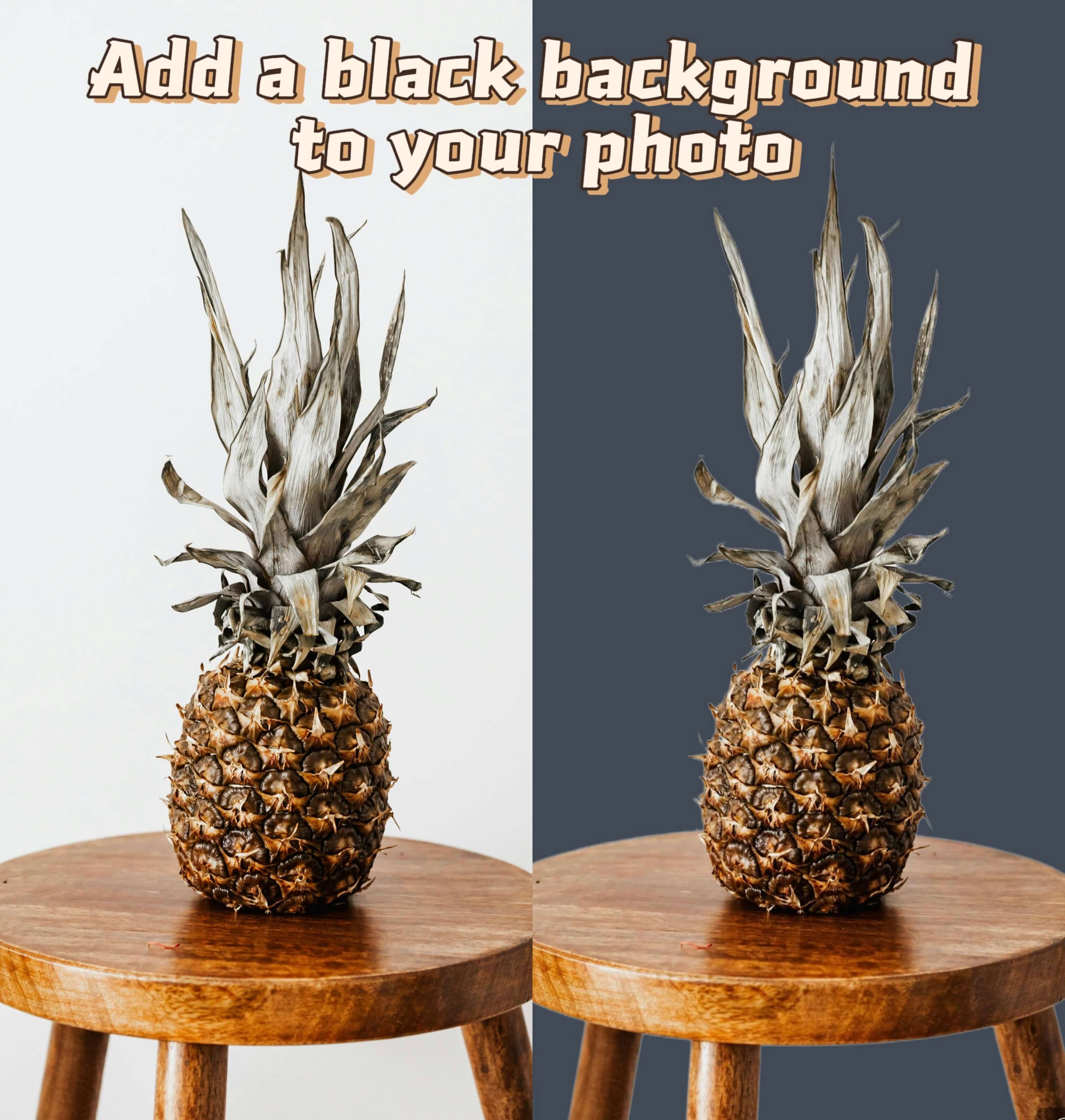 Effectively Add Black Backgrounds in Product Photography | insMind