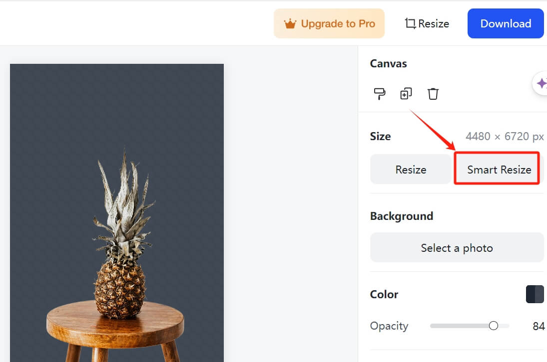 Effectively Add Black Backgrounds in Product Photography | insMind