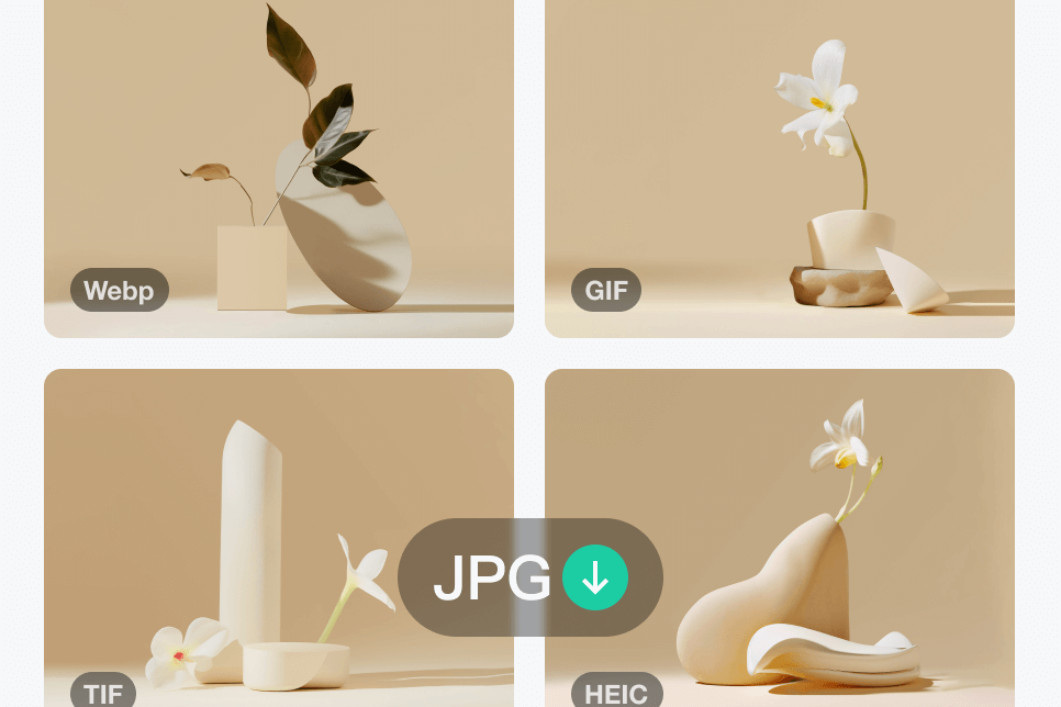 Convert Images in Multiple Formats to JPG | insMind