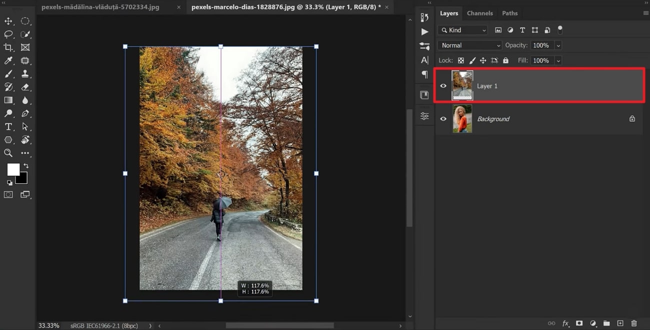 Learn How to Replace Background in Photoshop in 2024 | insMind