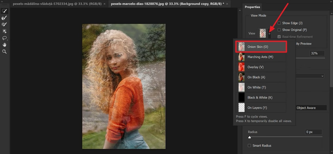 Learn How to Replace Background in Photoshop in 2024 | insMind